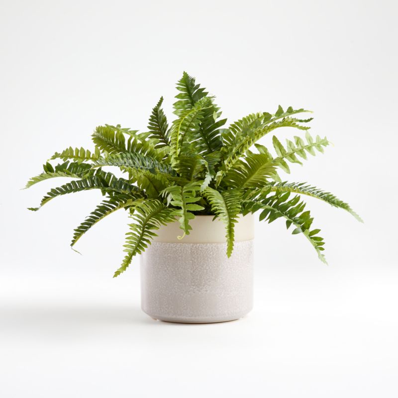 Faux Potted Fern + Reviews | Crate & Barrel