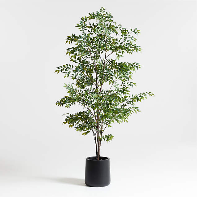 Potted Faux Triangle Ficus Tree 9' | Crate & Barrel