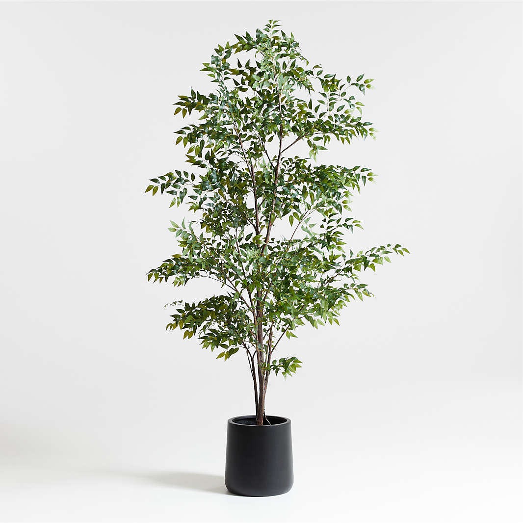 Artificial Trees, Faux Indoor Trees | Crate & Barrel
