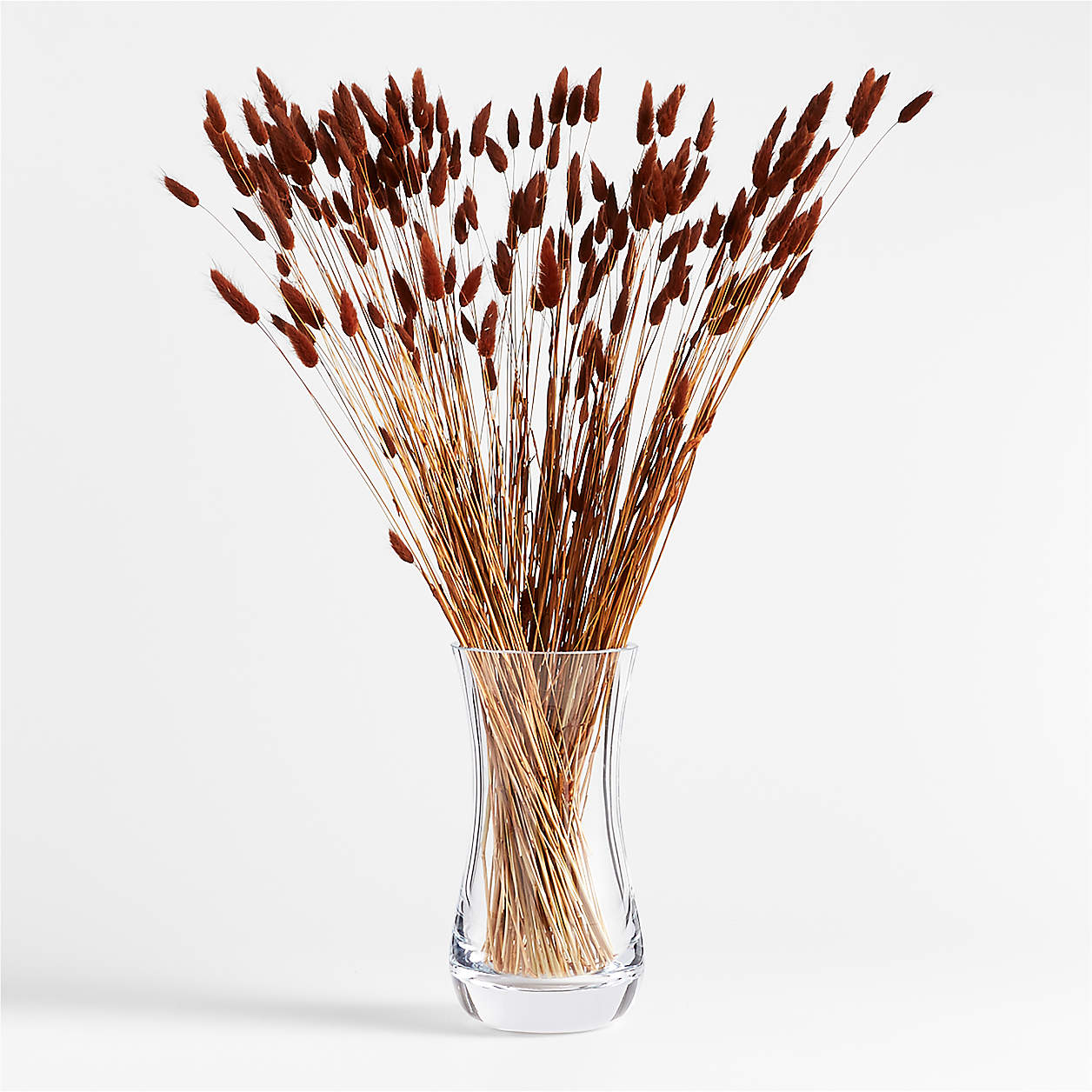 Rust Dried Bunny Tail Grass Bunch + Reviews | Crate & Barrel Canada