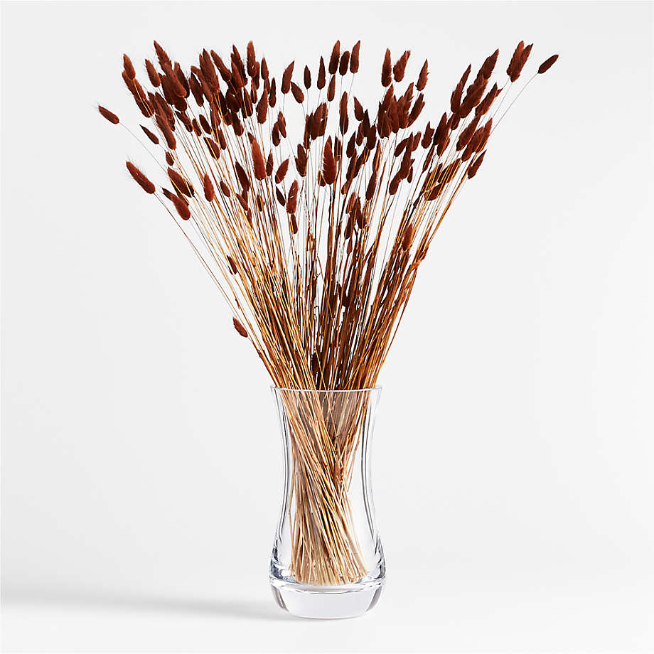 Rust Dried Bunny Tail Grass Bunch + Reviews | Crate & Barrel