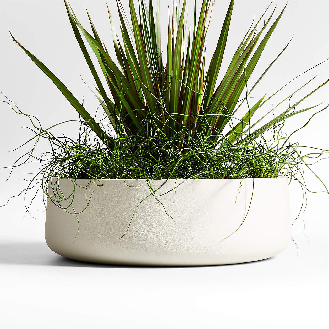 Saabira Taupe Indoor/Outdoor Tabletop Planter + Reviews | Crate & Barrel