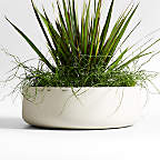 Saabira Taupe Indoor/Outdoor Tabletop Planter | Crate & Barrel