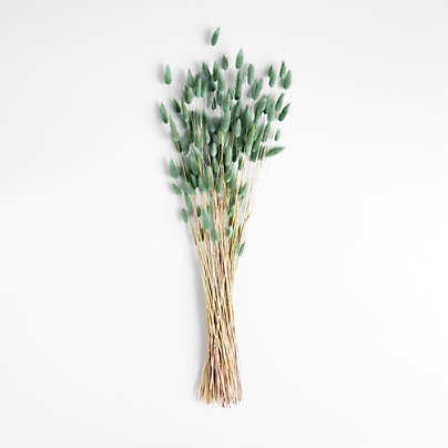 Rust Dried Bunny Tail Grass Bunch + Reviews | Crate & Barrel Canada