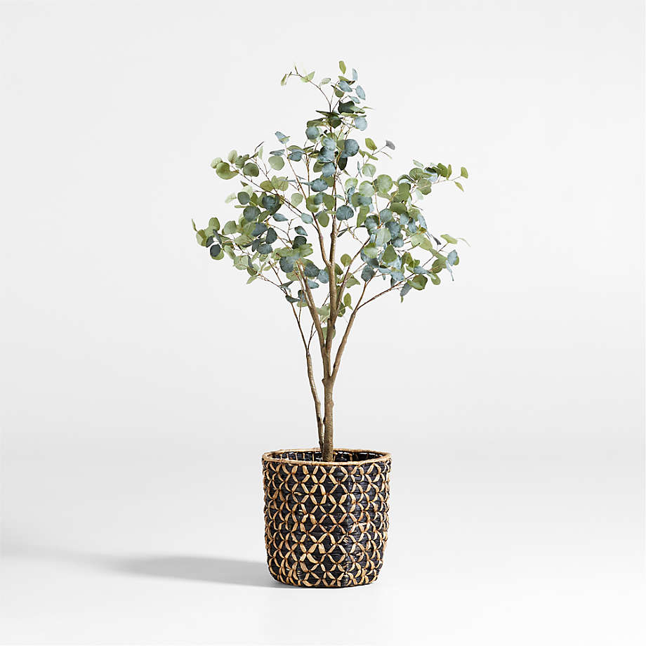 Faux Silver Dollar Eucalyptus Tree 6' + Reviews | Crate & Barrel