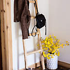 Teak Wood Decorative Throw Ladder + Reviews | Crate & Barrel