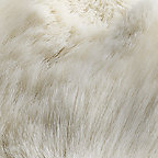 Textured Faux Fur 70"x55" Arctic Ivory Throw Blanket + Reviews | Crate ...