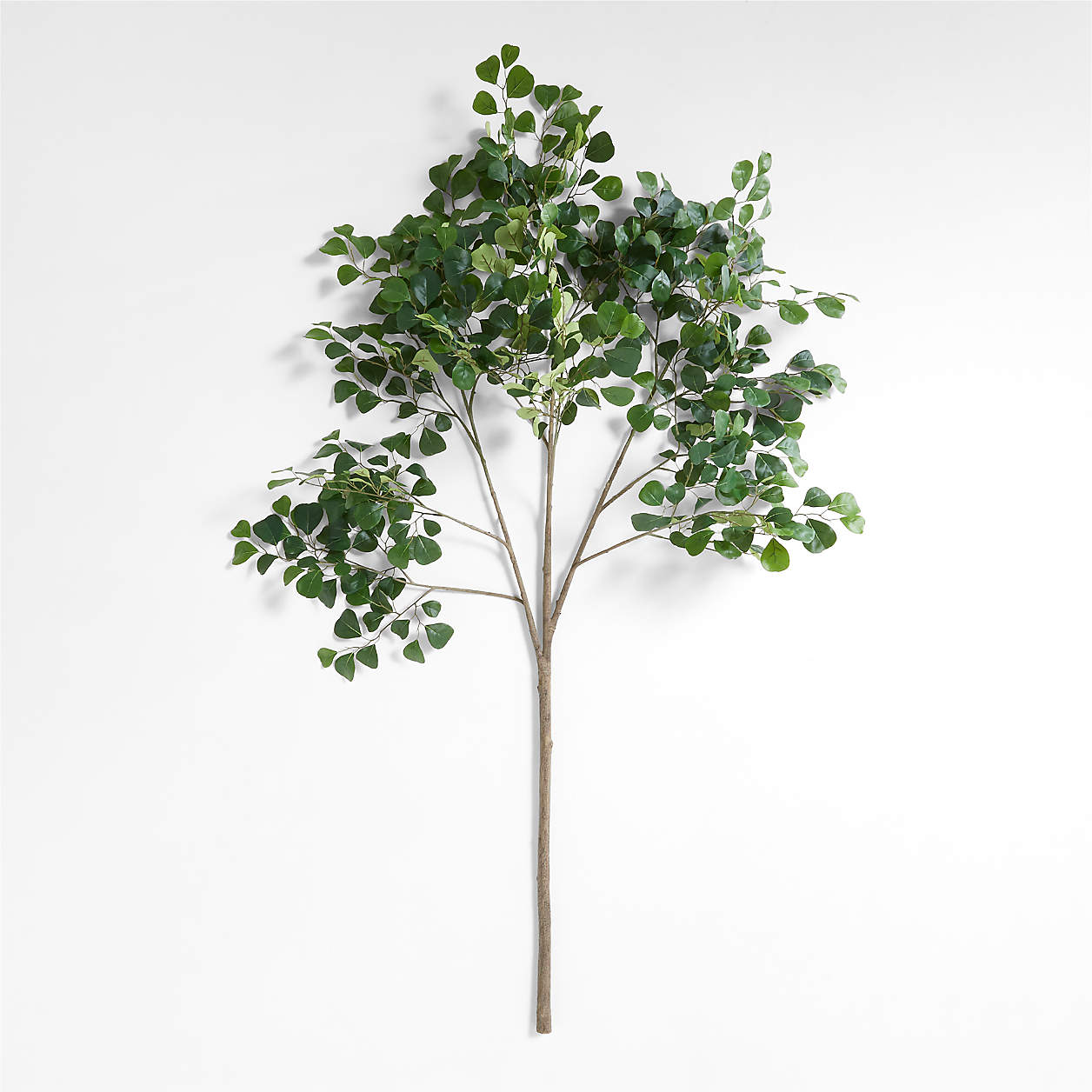 Faux Triangle Ficus Branch 38" + Reviews | Crate & Barrel