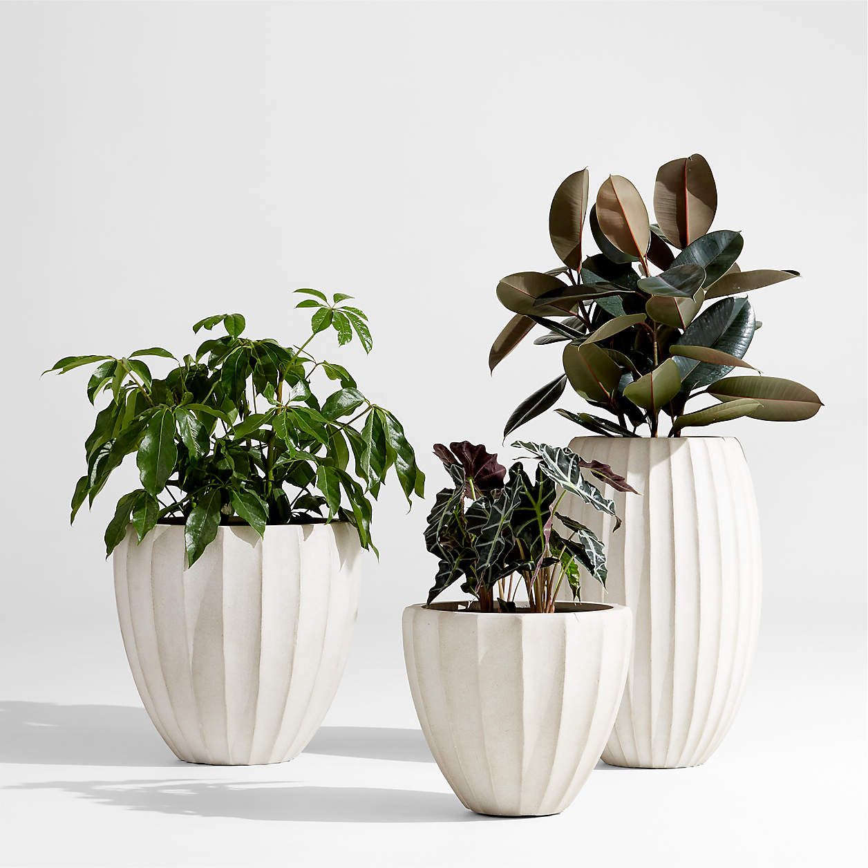 Warren Warm White Ficonstone Outdoor Planters | Crate & Barrel