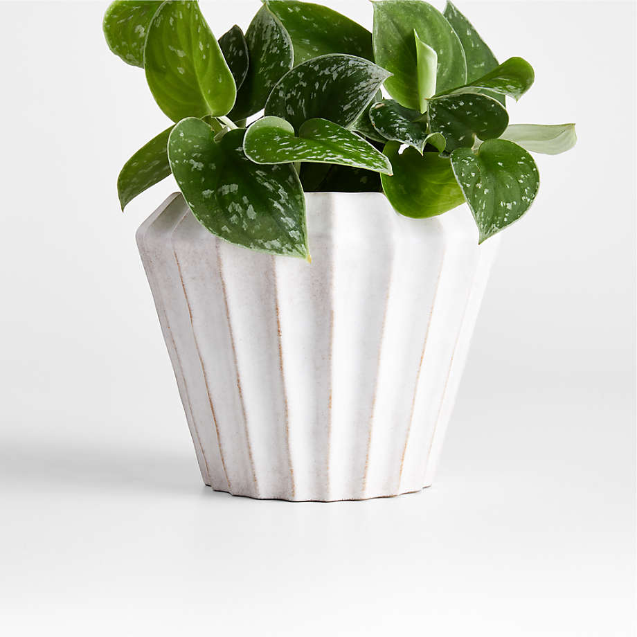 Warren Small White Ridge Ceramic Indoor/Outdoor Planter | Crate & Barrel