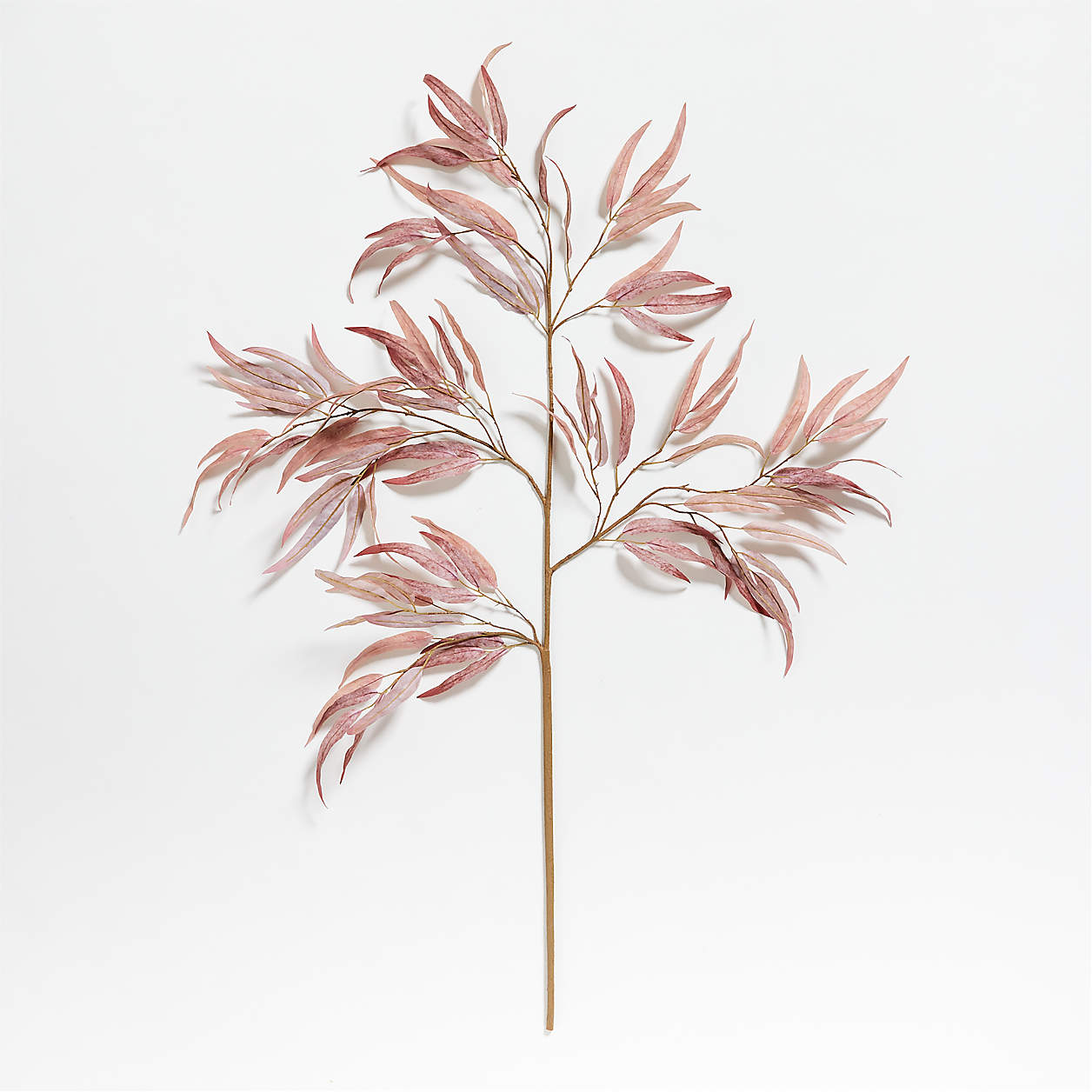 Large Faux Willow Eucalyptus Stem + Reviews | Crate & Barrel