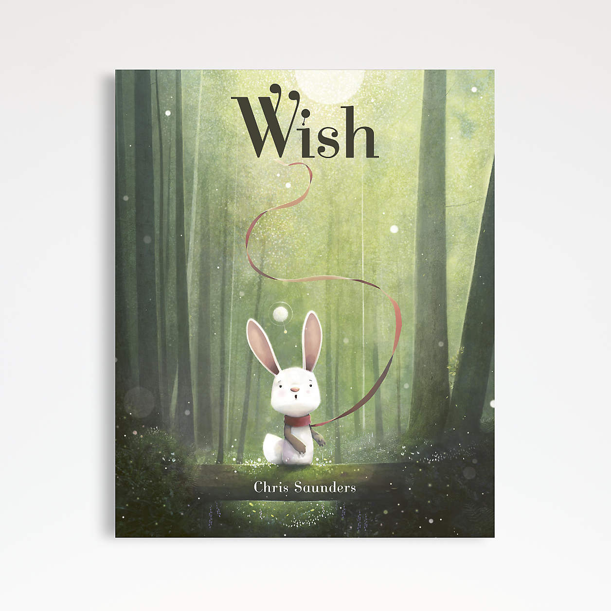 Wish Kids Book by Chris Saunders + Reviews | Crate & Kids