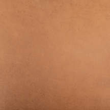 Zanni Camel Leather Dining Chair + Reviews | Crate & Barrel