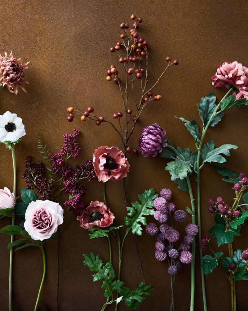 Botanicals