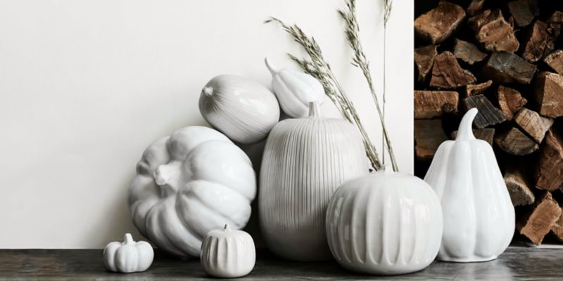 Modern Thanksgiving Plates, Dinnerware Sets & Decor | Crate & Barrel