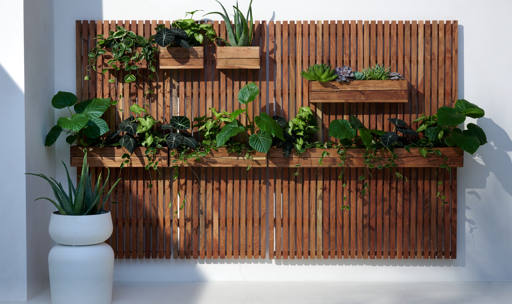 Batten Acacia Wood Wall Planter Racks and Boxes | Crate & Barrel