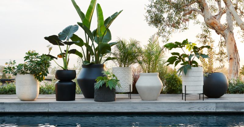 Outdoor Planters, Pots & Garden Tools for the Patio | Crate & Barrel