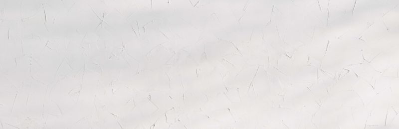 Lucia Eames Collection: Mid-Century Christmas Decor | Crate & Barrel Canada