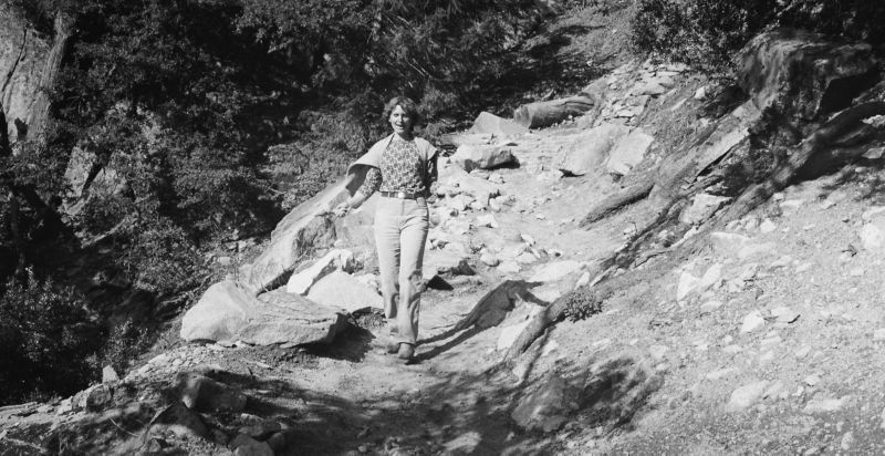 Lucia Eames Collection: Mid-Century Christmas Decor | Crate & Barrel Canada