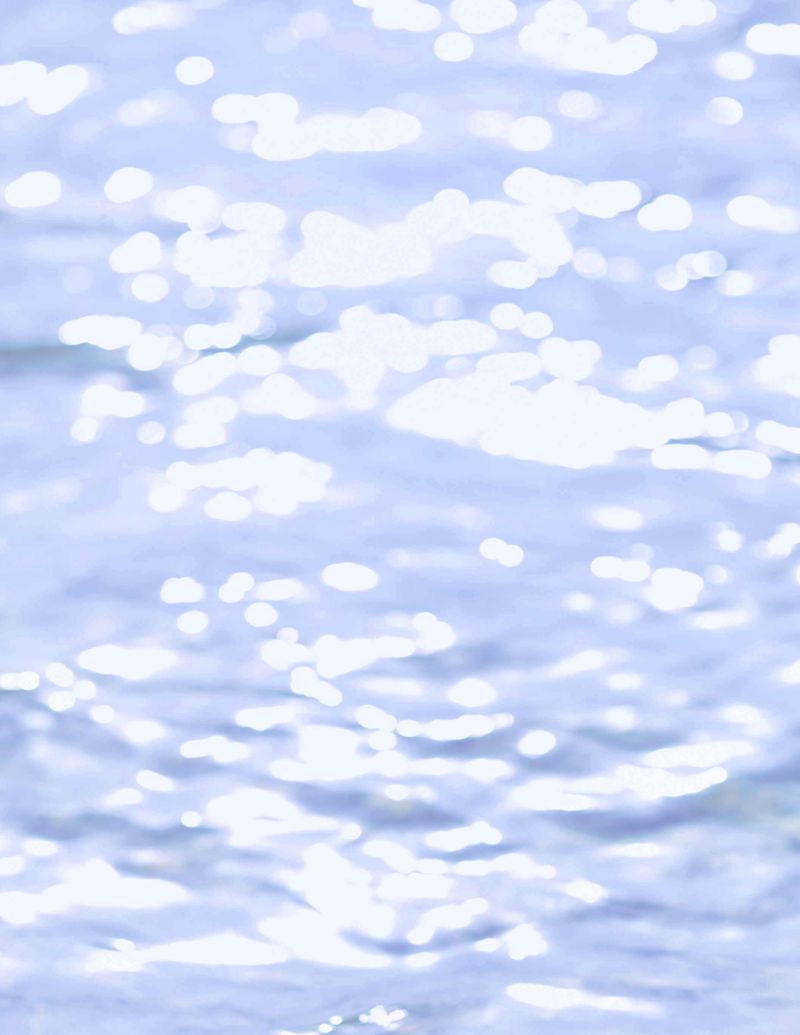 Best Steak Knives: Individual & Steak Knife Sets | Crate & Barrel