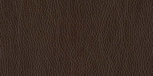 Laval Leather in Chestnut Custom Furniture | Crate & Barrel