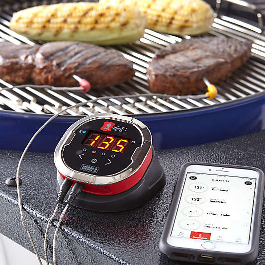 Meat Thermometer and Kitchen Timer | Crate & Barrel